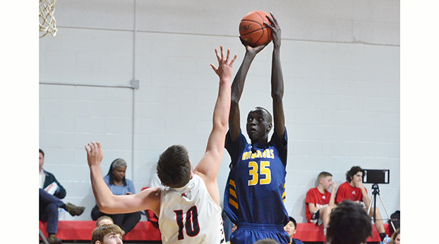 On the rise: DCA basketball changes making a difference | The Advocate ...